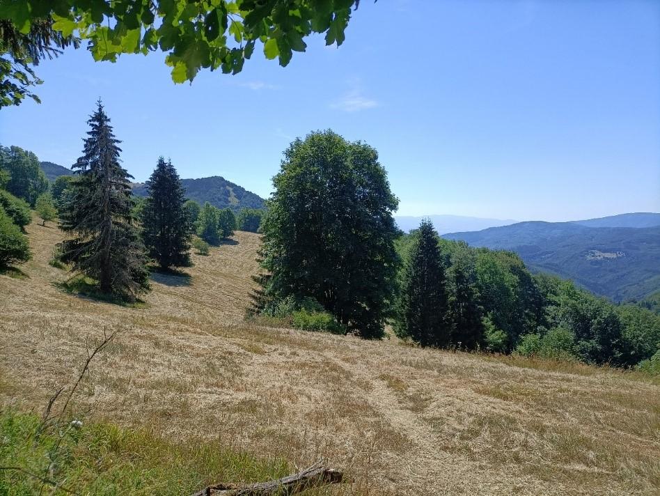 Képek a Via Mariae Polgári Társulás tíznapos zarándoklatáról | Mária út